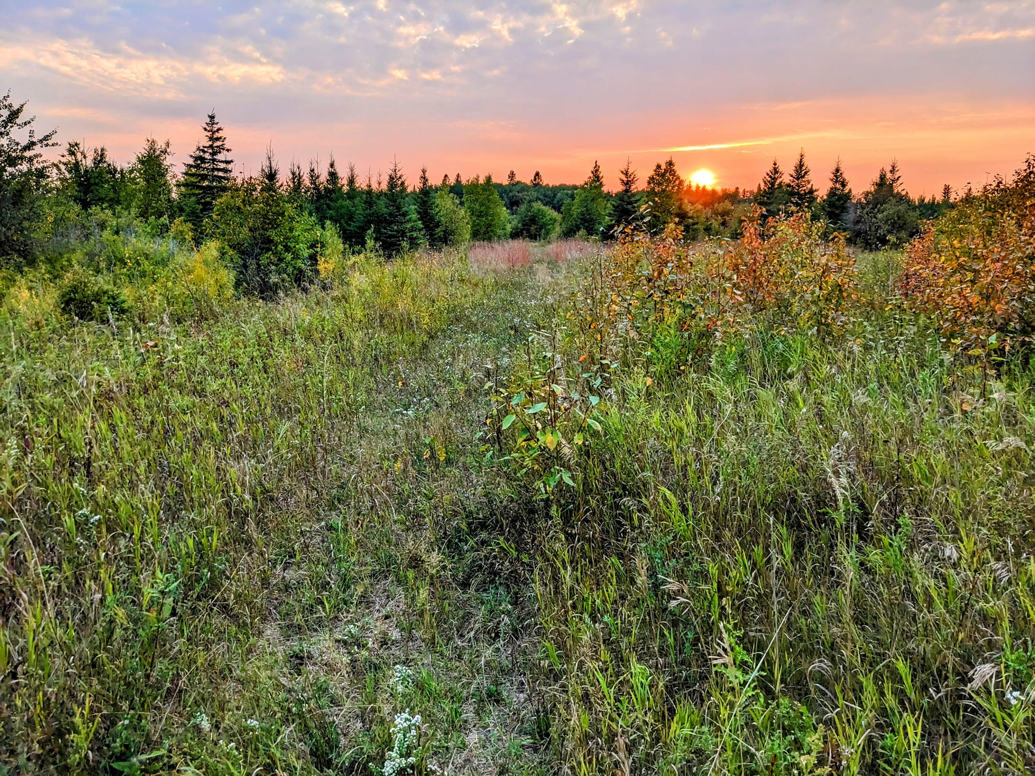 What is Green Burial? – Green Cemetery Project Winnipeg